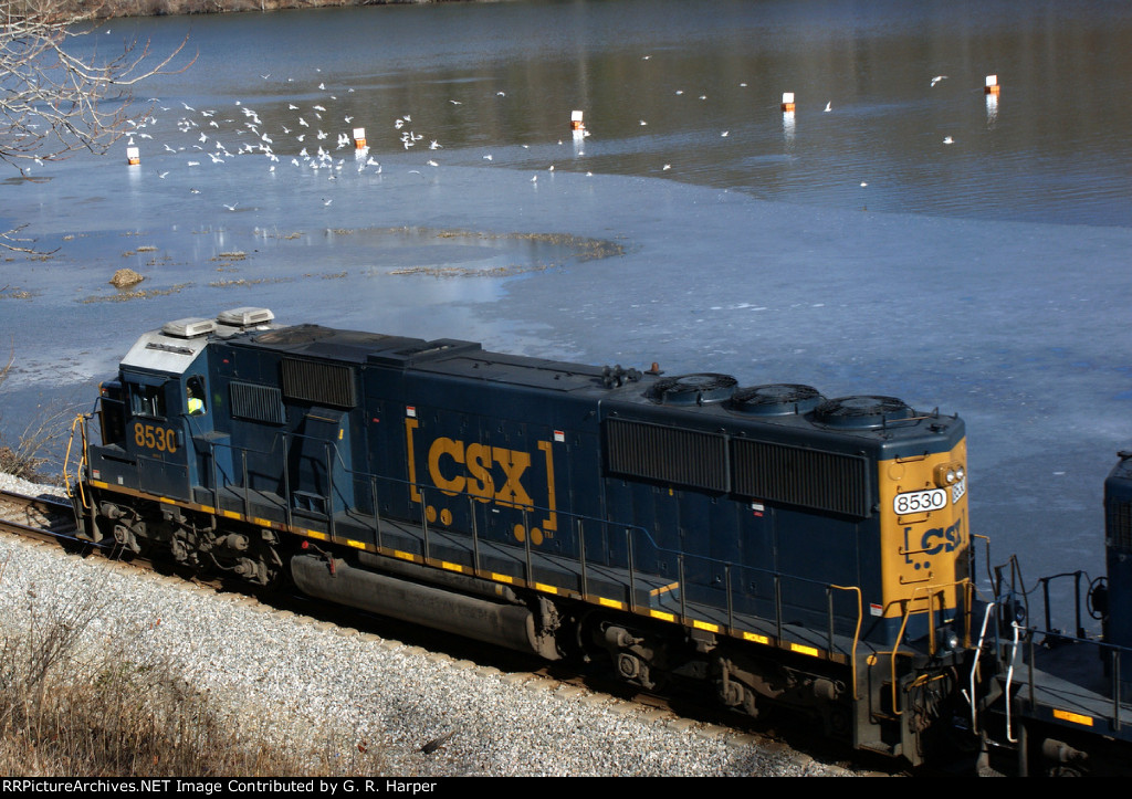 CSXT 8530 on Q30318 stirs up the seagulls on the ice on the Reusens Dam pond